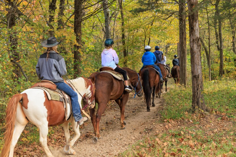Triangle Y Ranch | Horseback Riding at YMCA Trout Lodge